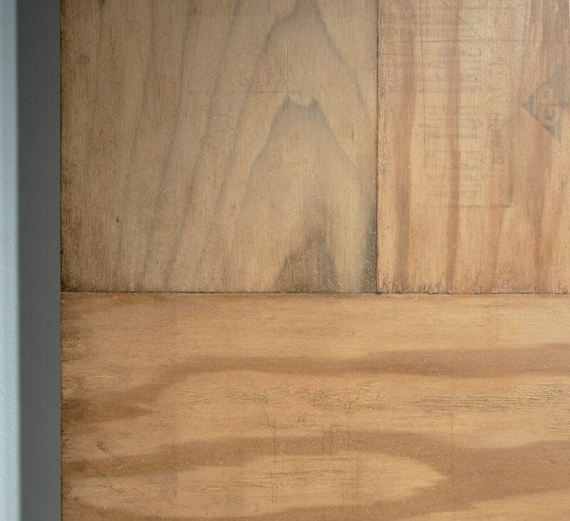 Anthony Adcock – Vitruvian Fine Art Studio