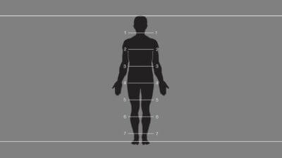 Anatomy of the Face – Vitruvian Fine Art Studio